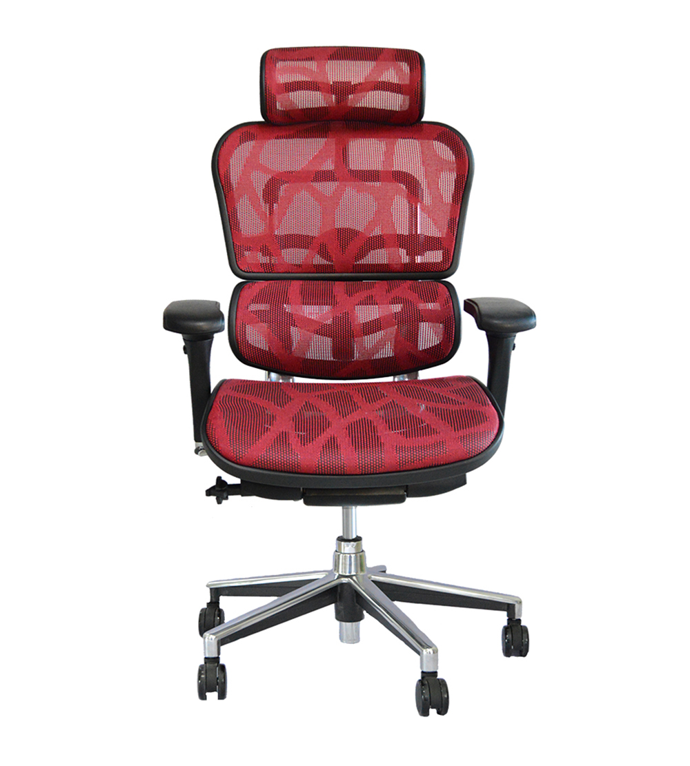 เก้าอี้เพื่อสุขภาพ รุ่น Ergo2 เก้าอี้สุขภาพ | Ergohuman ประเทศไทย