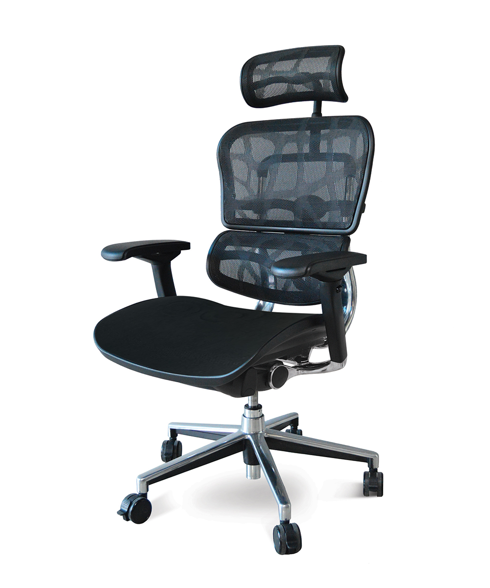 เก้าอี้เพื่อสุขภาพ รุ่น Ergo2 Mesh Foam เก้าอี้สุขภาพ | Ergohuman ประเทศไทย