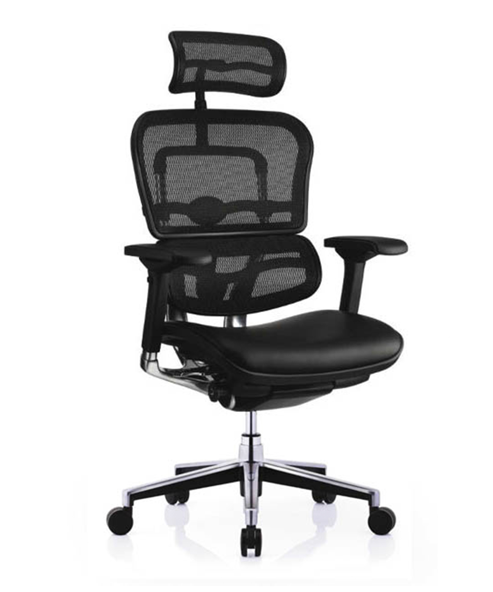 เก้าอี้เพื่อสุขภาพ รุ่น Ergo2 Mesh+หนัง เก้าอี้สุขภาพ | Ergohuman ประเทศไทย