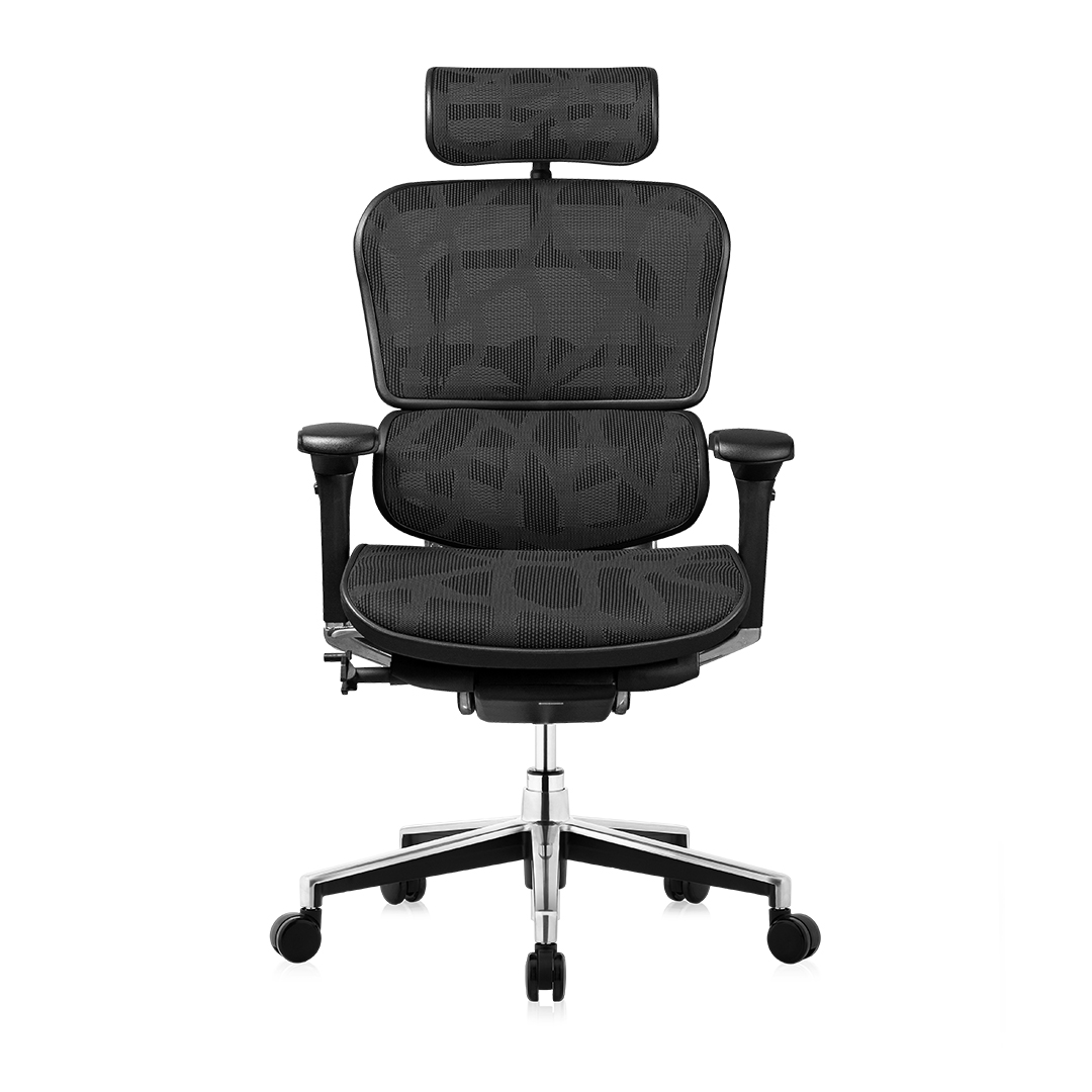 Ergohuman Series - Ergo2 - DF Prochair เก้าอี้เพื่อสุขภาพ - Ergohuman ...