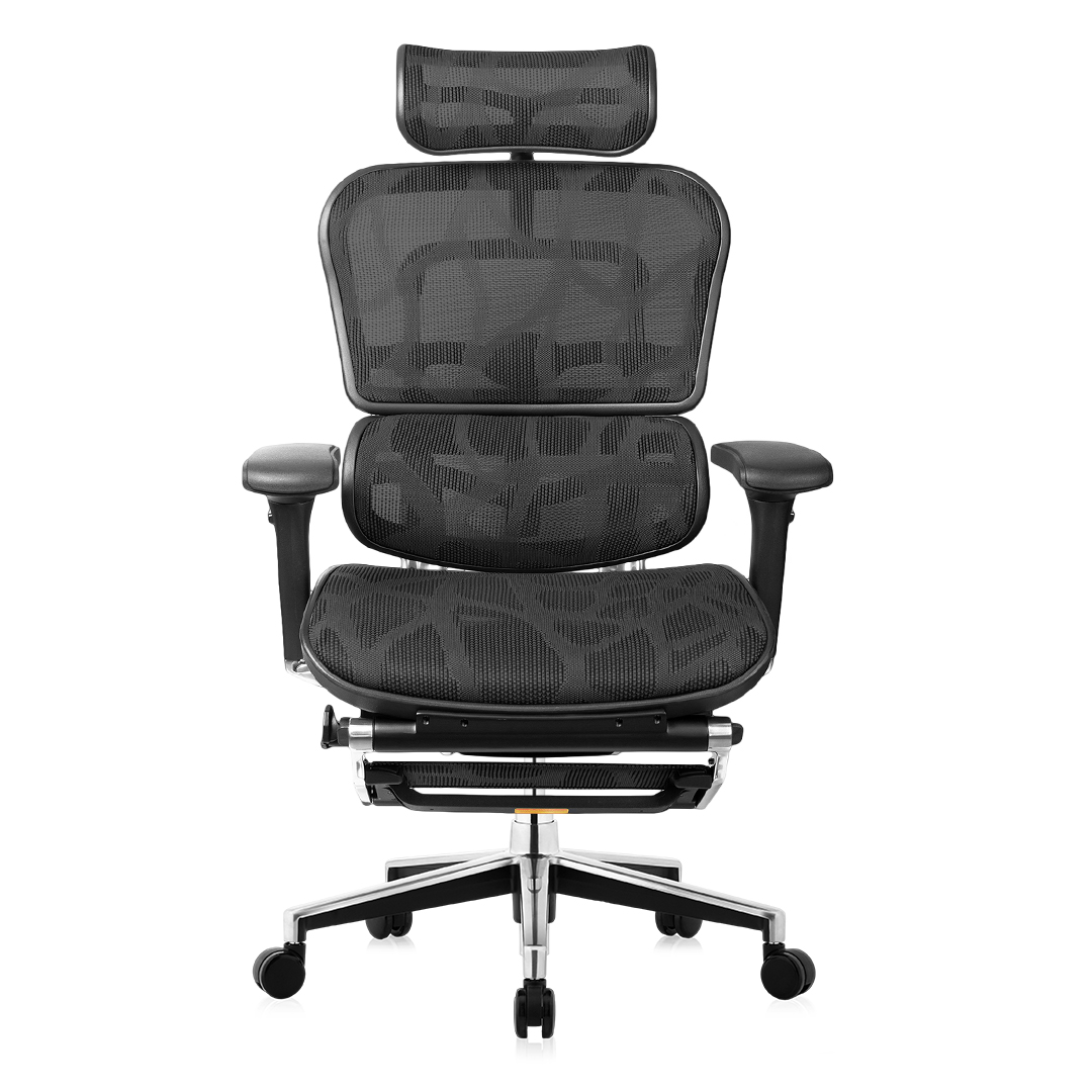 เก้าอี้เพื่อสุขภาพ รุ่น Ergo2 Plus เก้าอี้สุขภาพ | Ergohuman ประเทศไทย