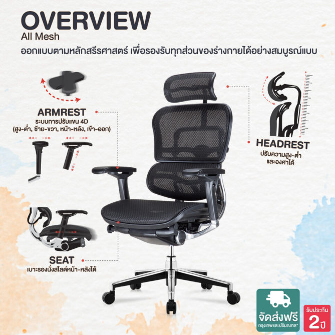 เก้าอี้เพื่อสุขภาพ รุ่น Ergo2 T168 เก้าอี้สุขภาพ | Ergohuman ประเทศไทย